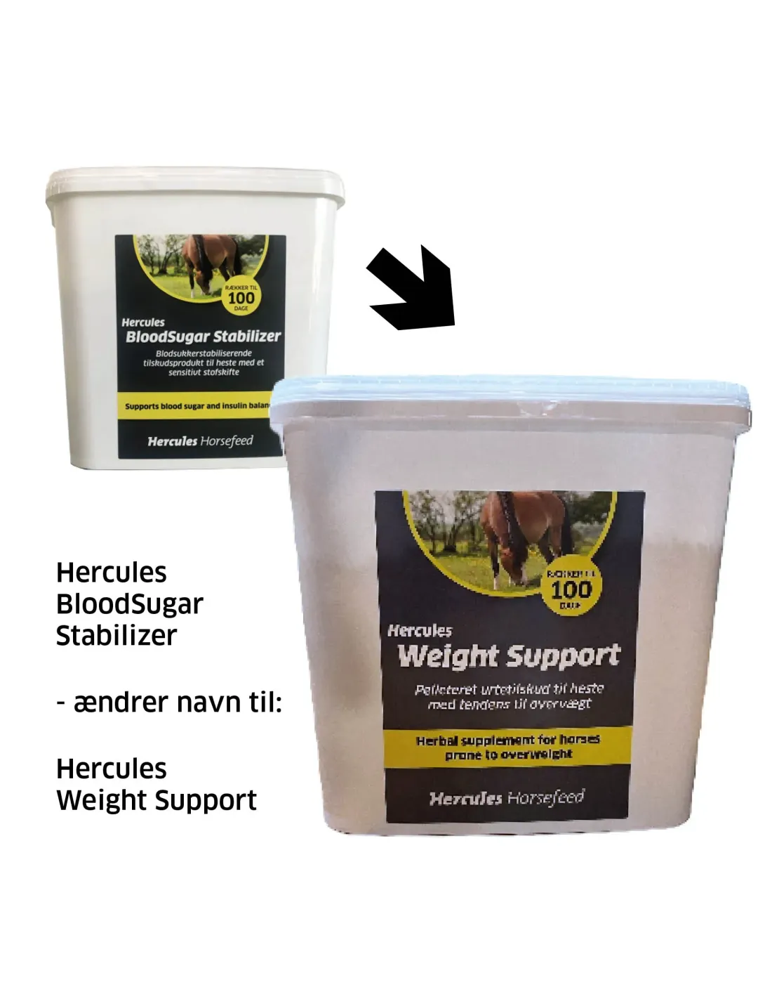 Hercules Weight Support